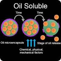 Oil Encapsulation