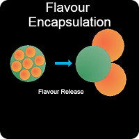 Flavor Encapsulation